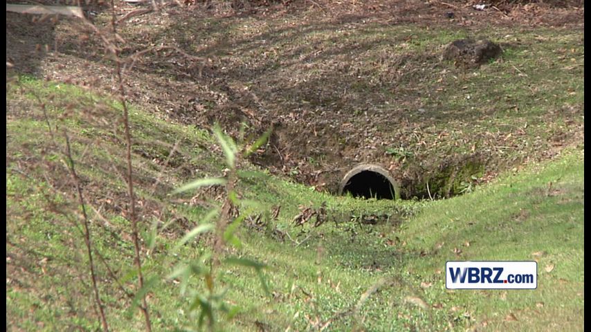 Family concerned overgrown ditch contributing to flood problems