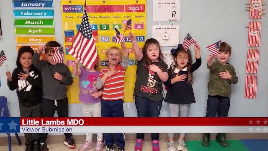 The Pledge of Allegiance: Little Lambs MDO - Viewer Submission