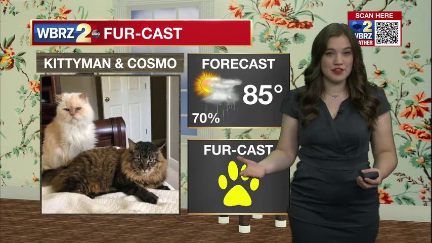 Kittyman & Cosmo Fur-cast
