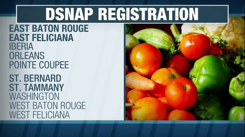 'DSNAP' food program starts Monday