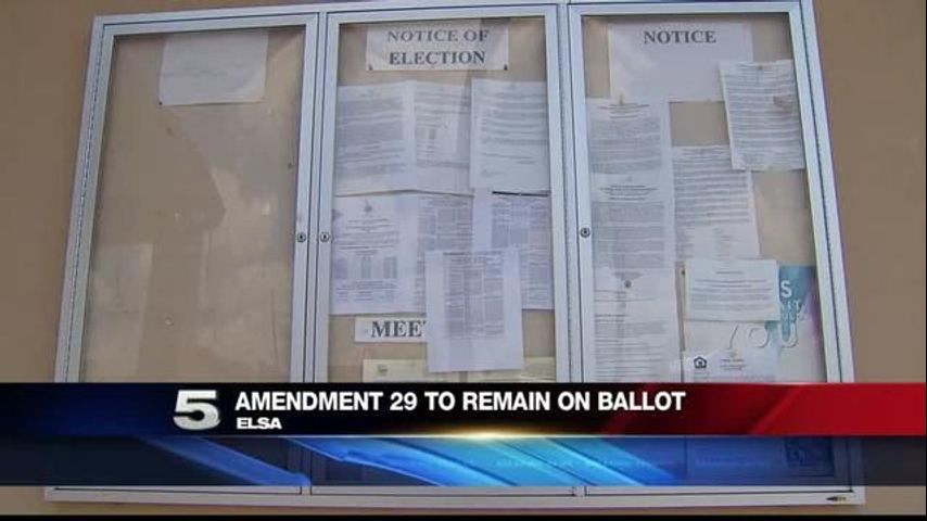 Amendment 29 to Remain on Elsa Election Ballot