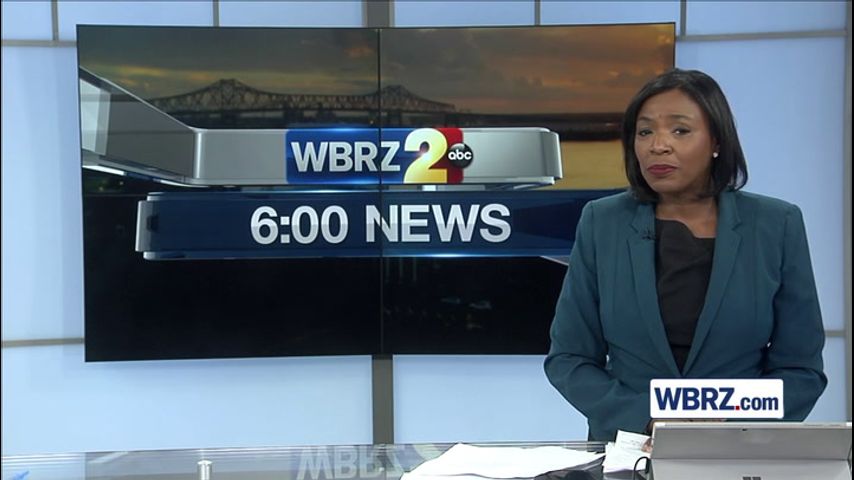 Impostor "ladybug" beetle infestation causing serious annoyance