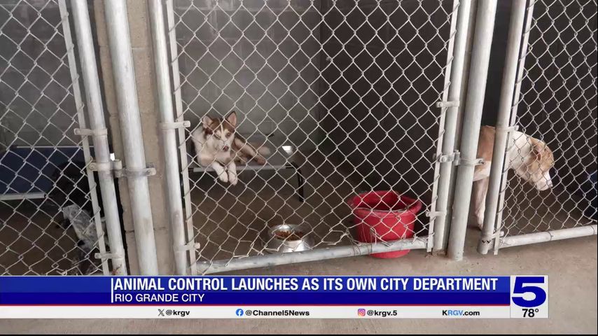 Rio Grande City Animal Control launches as its own city department