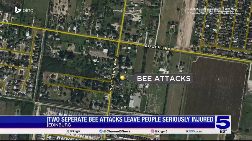 Two people in critical condition after separate bee attacks in Edinburg