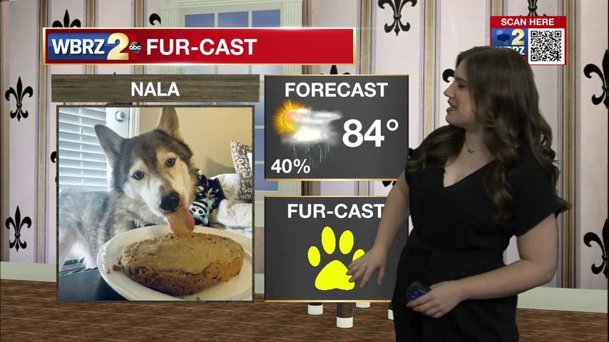 Nala Fur-cast