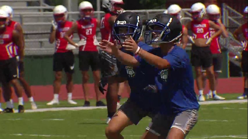 Sports2-a-Days: Springfield Bulldogs
