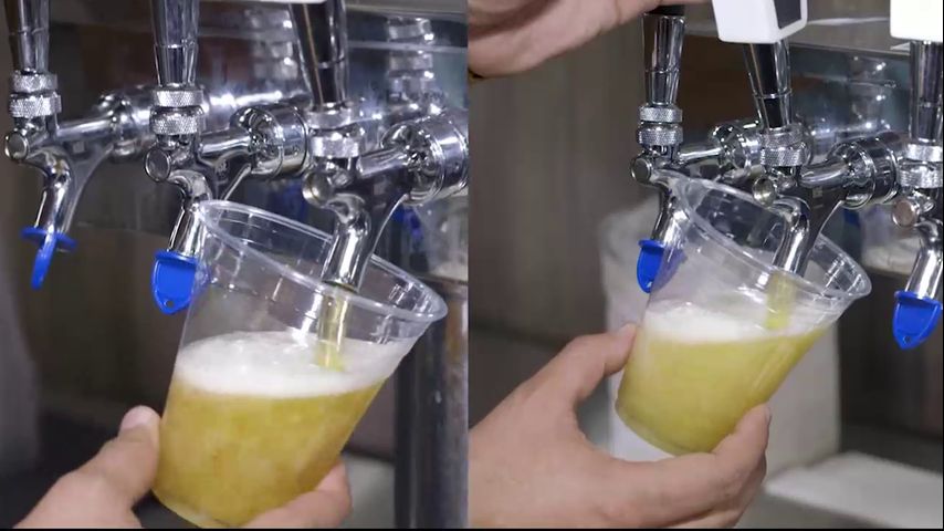 Pluton Brewing Co.