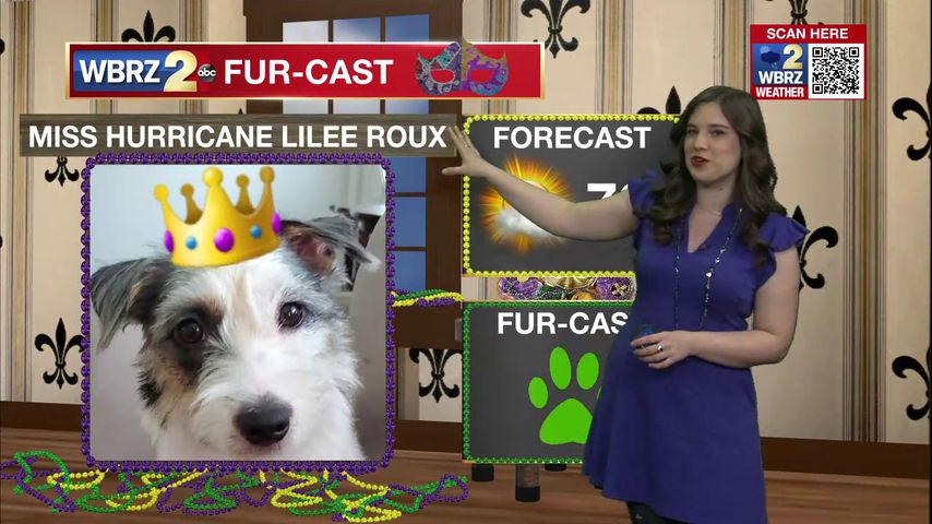 Lilee Roux Fur-cast