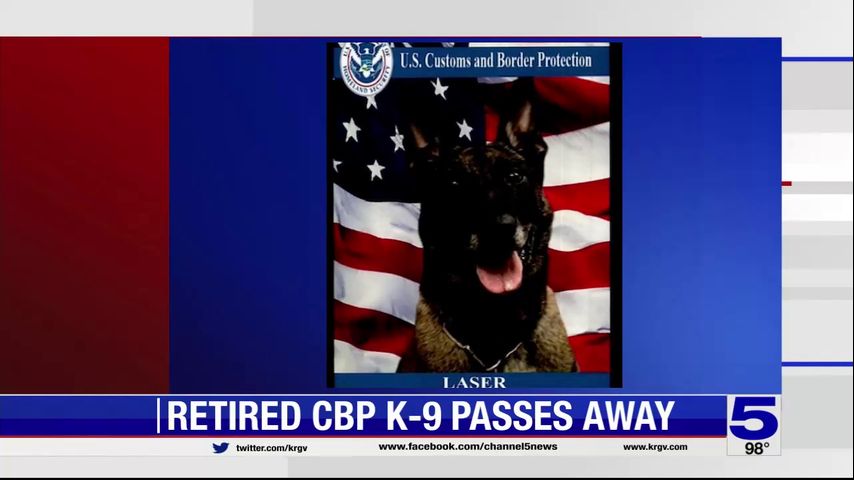 Retired CBP K9 passes away