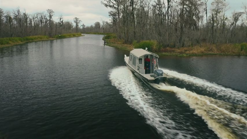 Bulk of Maurepas Swamp project funding approved